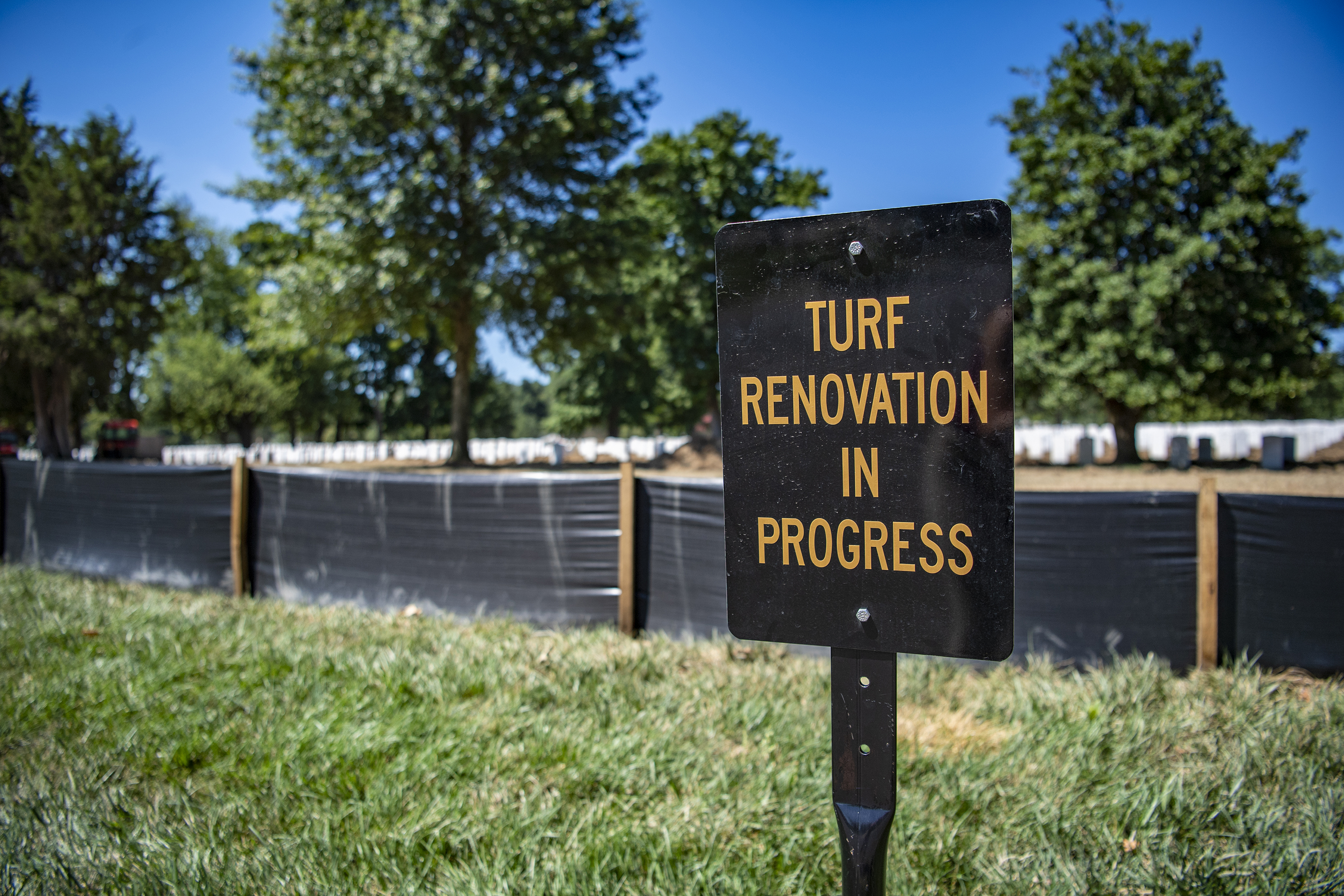 Turf Renovations